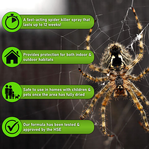 Xterminate Spider Killer Spray 500ml/1L - HSD Online